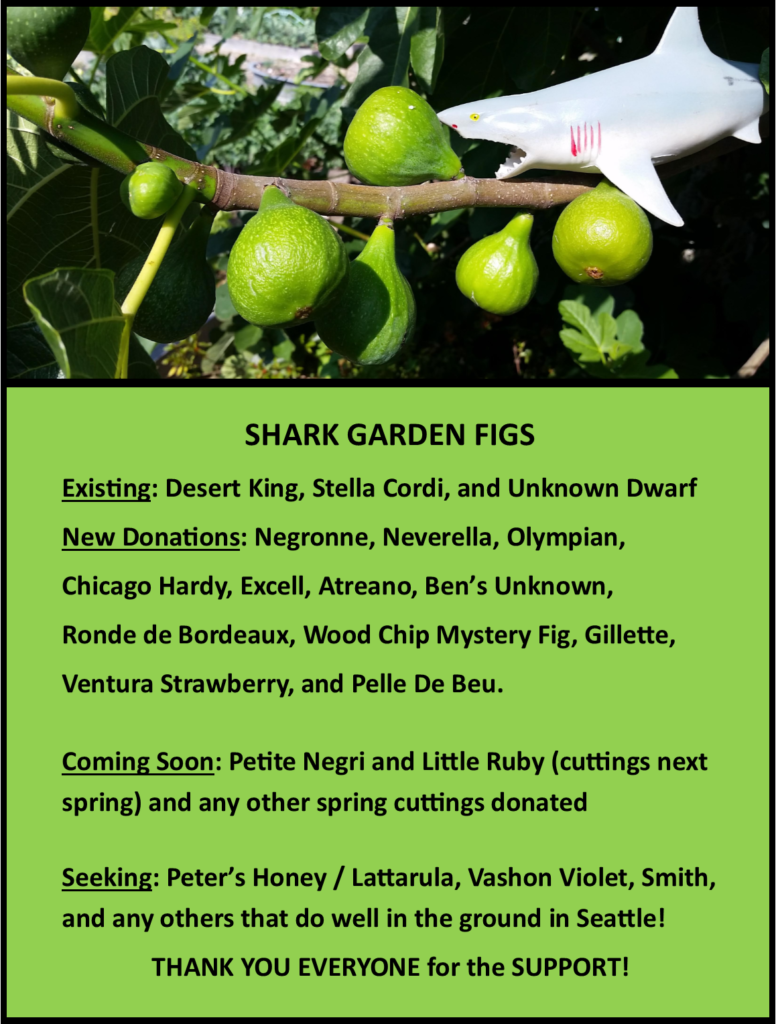 Fig Tree Planting Chart – Nature Stewards WA